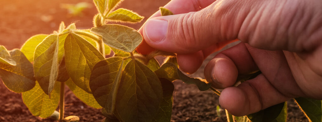 Etiketten CropActiv - CropSolutions